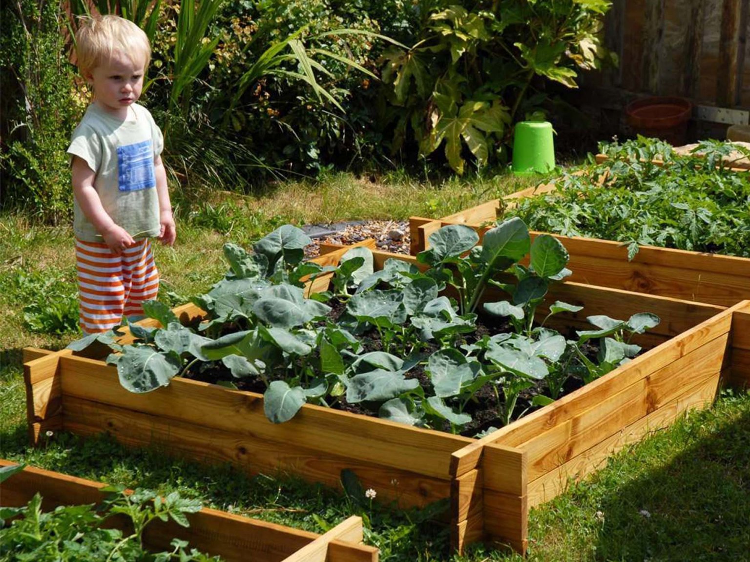 How to Make a Raised Planter - Primrose Garden Club | Expert Tips ...