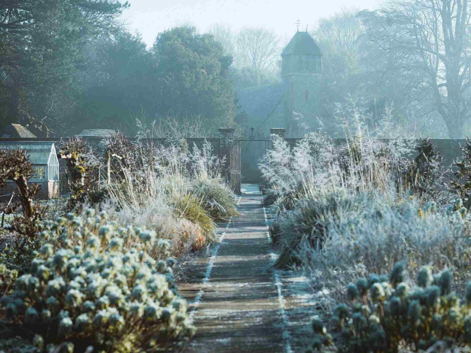 How to Prepare Your Garden for Winter | Primrose UK