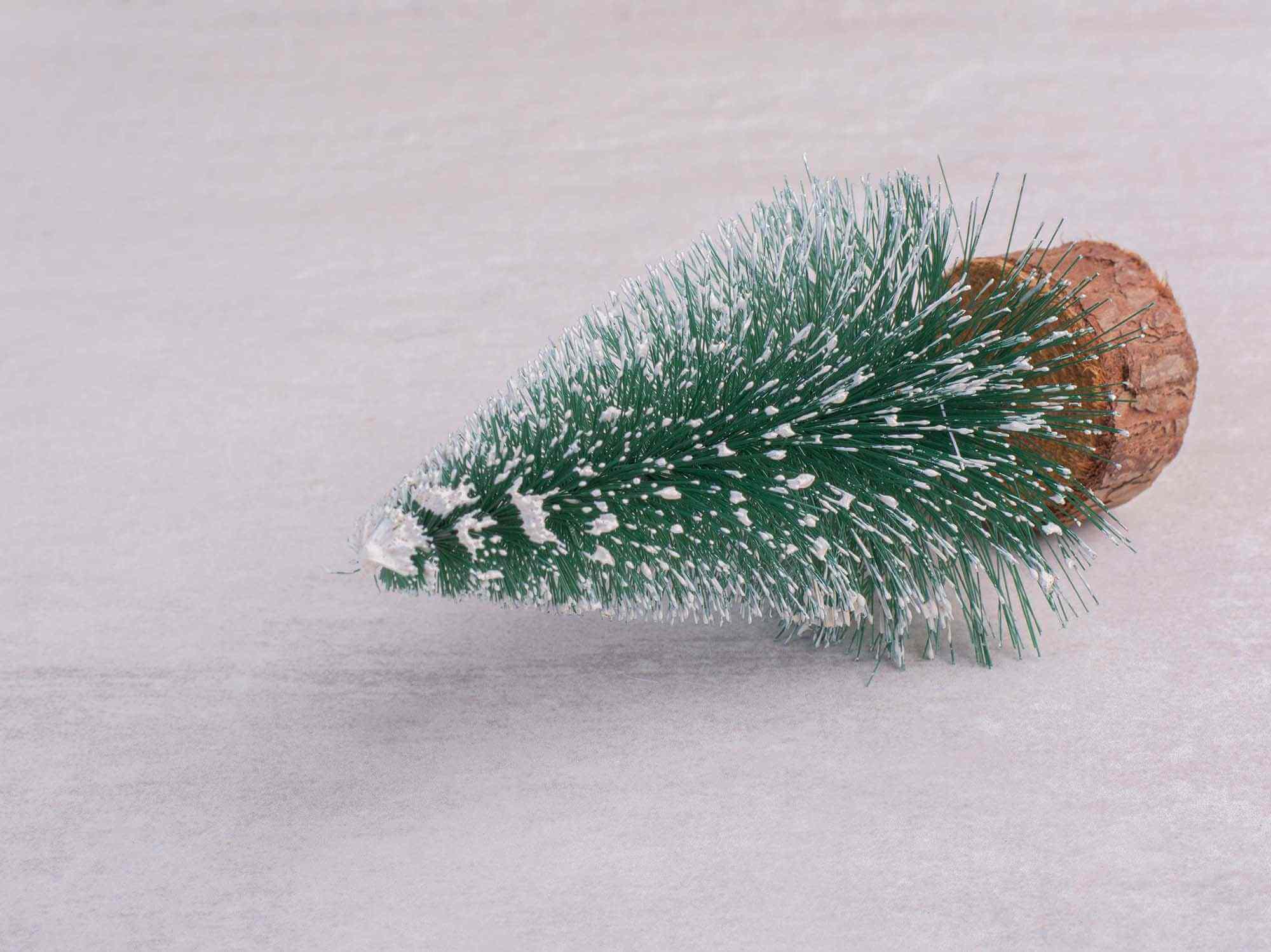 5 Ideas of What To Do With a Christmas Tree After Christmas - Primrose