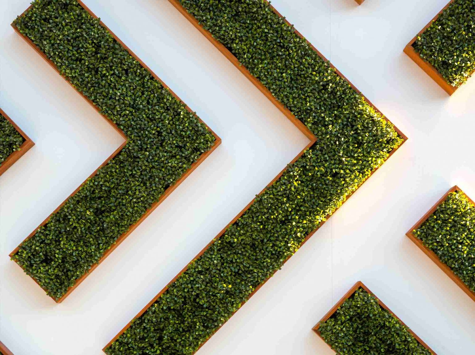 8 Different Ways to Create Your Own Living Wall - Primrose UK