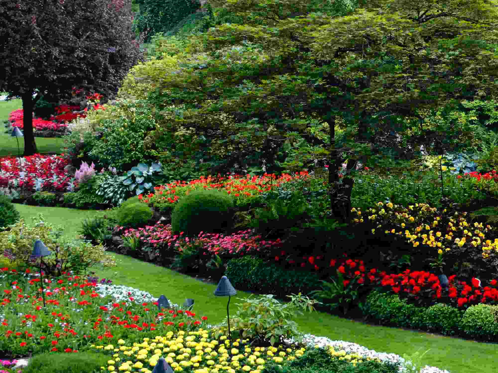 6 Ways Landscape Gardening Can Majorly Impact Your Home - Primrose