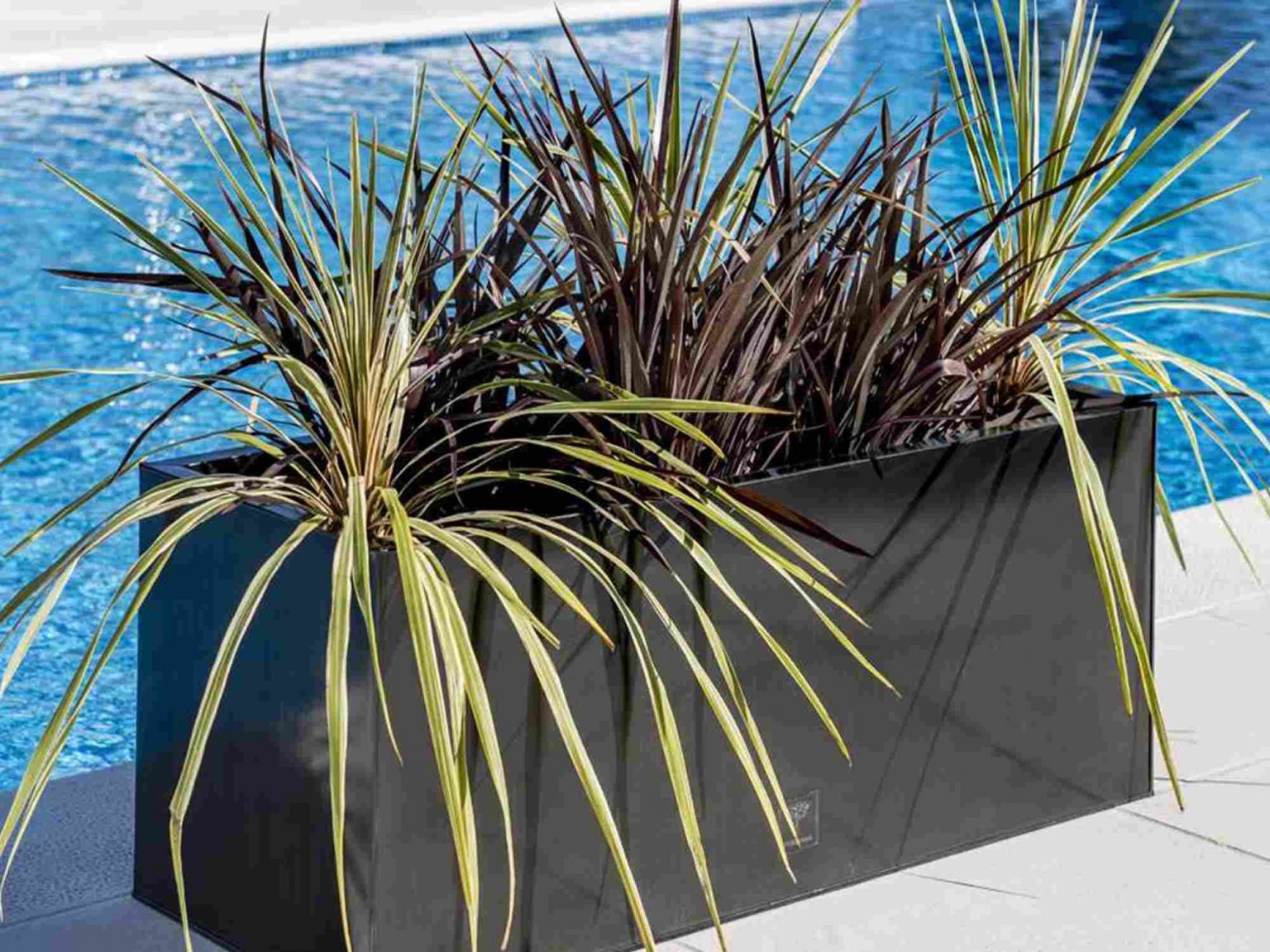 Top 20 Best Gardening Gifts - Primrose UK