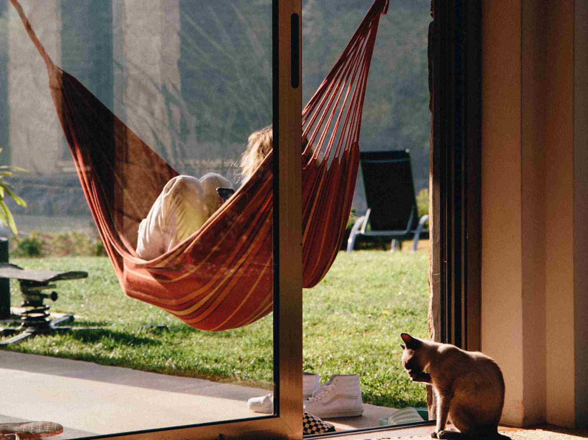 Top 20 Best Gardening Gifts - Primrose UK