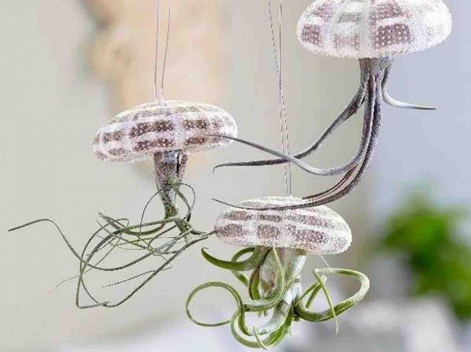 Top 20 Best Gardening Gifts - Primrose UK