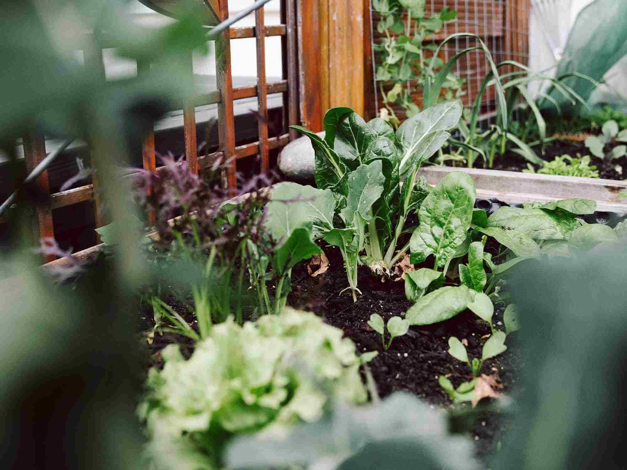 Start Planning For Next Year! 12 Projects You Should Plan Early For ...