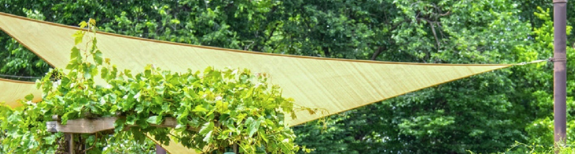 Sail Shade Installation Guide - Gardening Tips, Advice and Inspiration