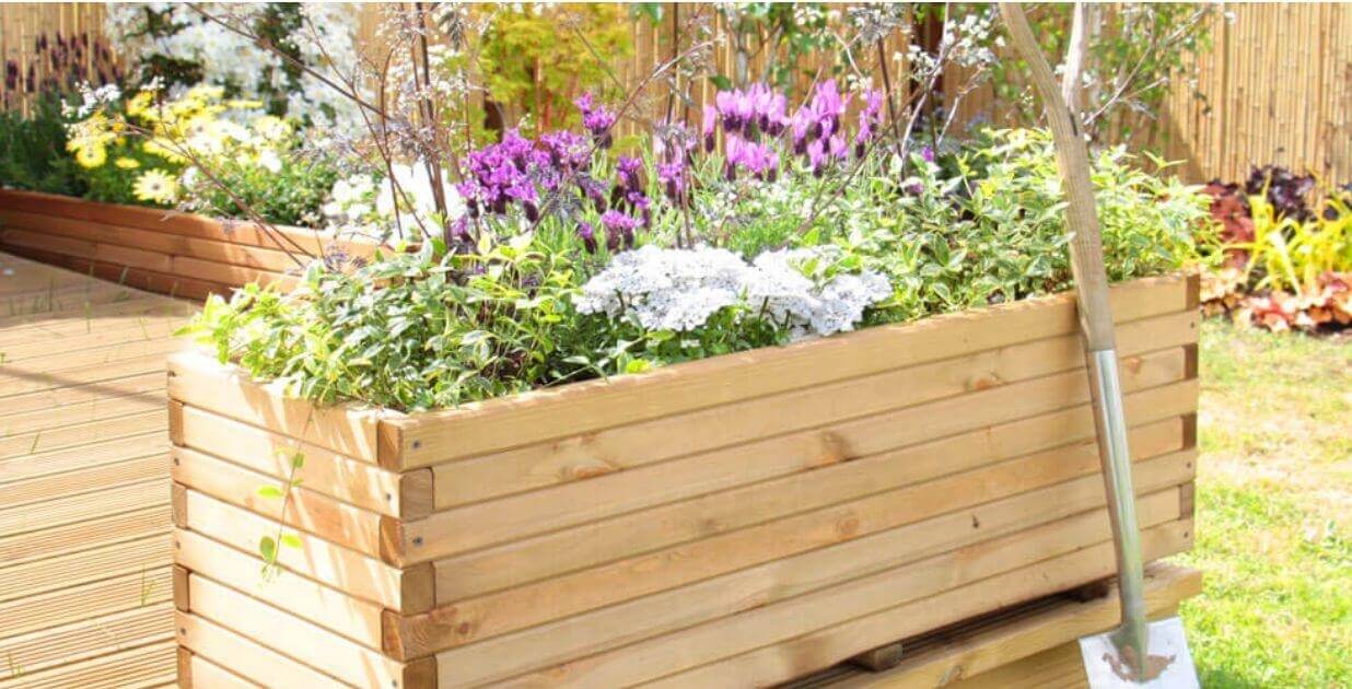 Planter Ideas & Advice - Primrose Garden Club | Expert Tips, Advice ...