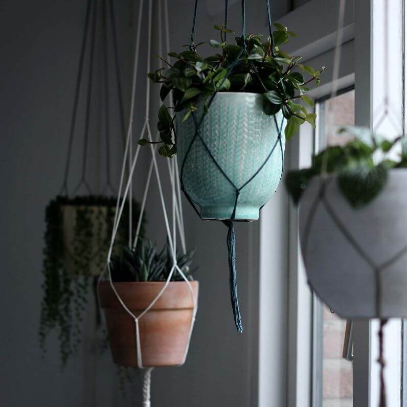 Planter Ideas & Advice - Primrose Garden Club | Expert Tips, Advice ...