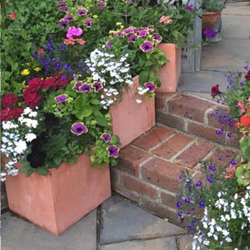 Planter Ideas & Advice - Primrose Garden Club | Expert Tips, Advice ...