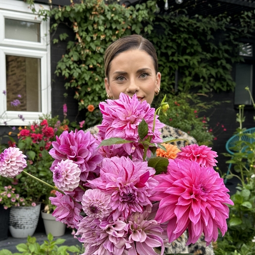 Getting Ready to Grow Dahlias in 2026 - Primrose Garden Club | Expert ...